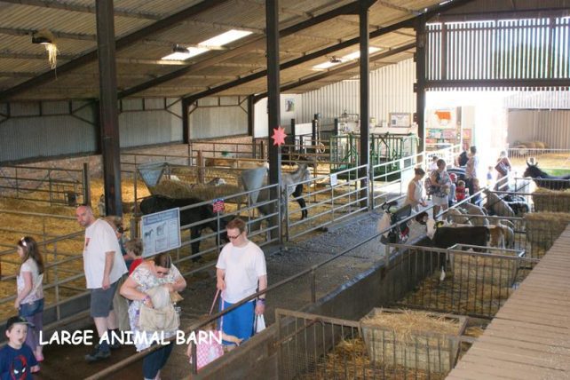 About Us | Rand Farm Park