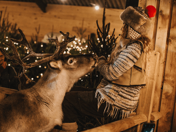 Farmer Folk Information: The Real Christmas Experience | Rand Farm Park