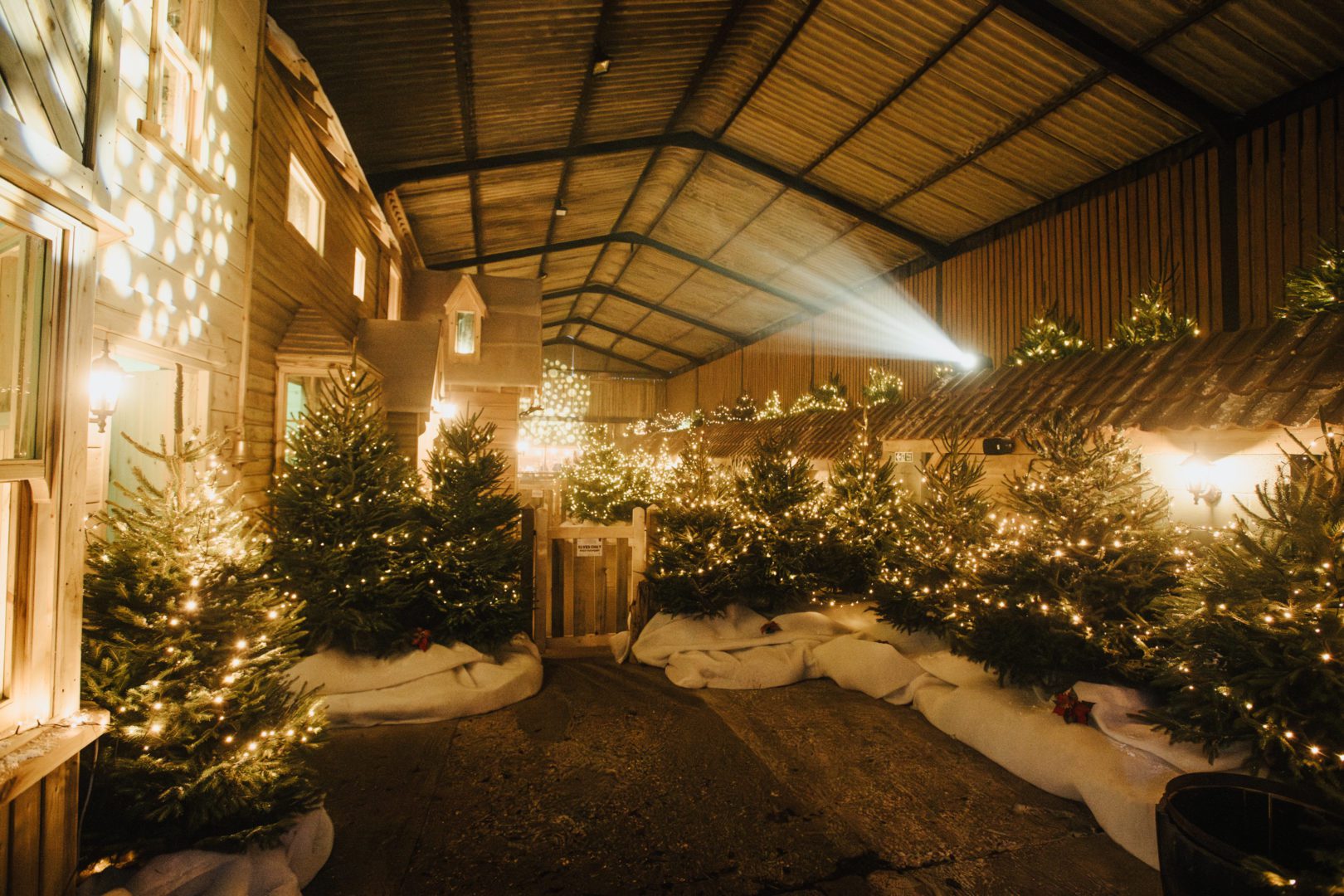 Homepage | Rand Farm Park