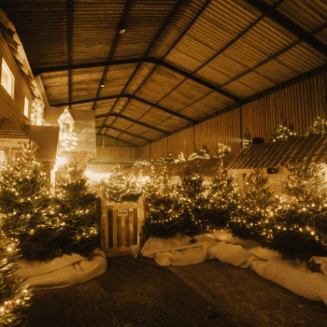 Farmer Folk Information: The Real Christmas Experience | Rand Farm Park