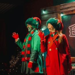 Farmer Folk Information: The Real Christmas Experience | Rand Farm Park