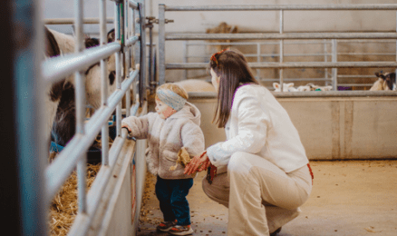 Homepage | Rand Farm Park