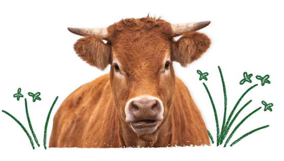 Directions | Rand Farm Park