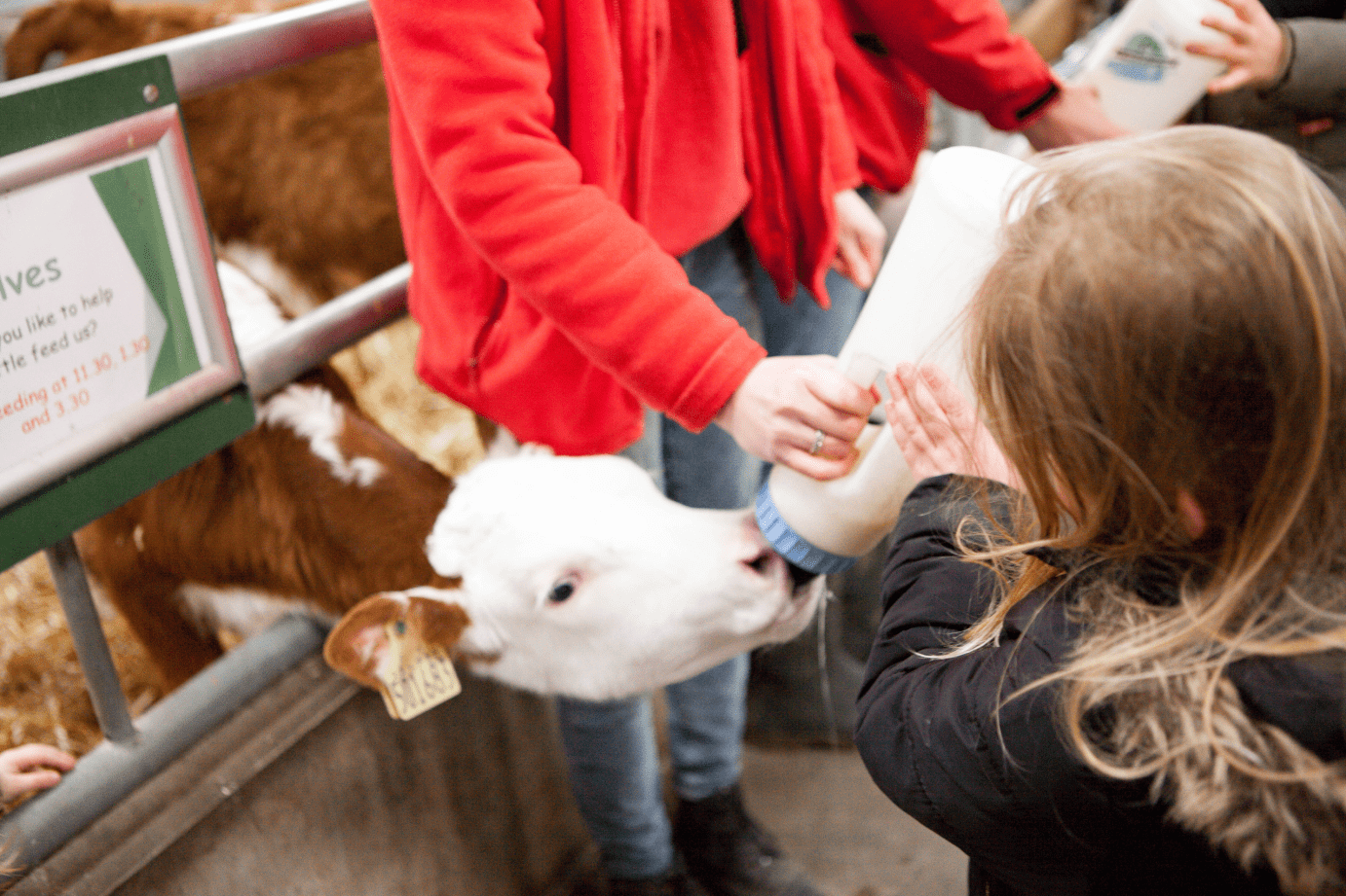 Animal Activities | Rand Farm Park